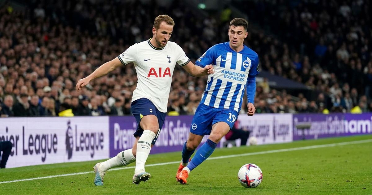 Tottenham's Offer for Jan Paul van Hecke Rejected by Brighton
